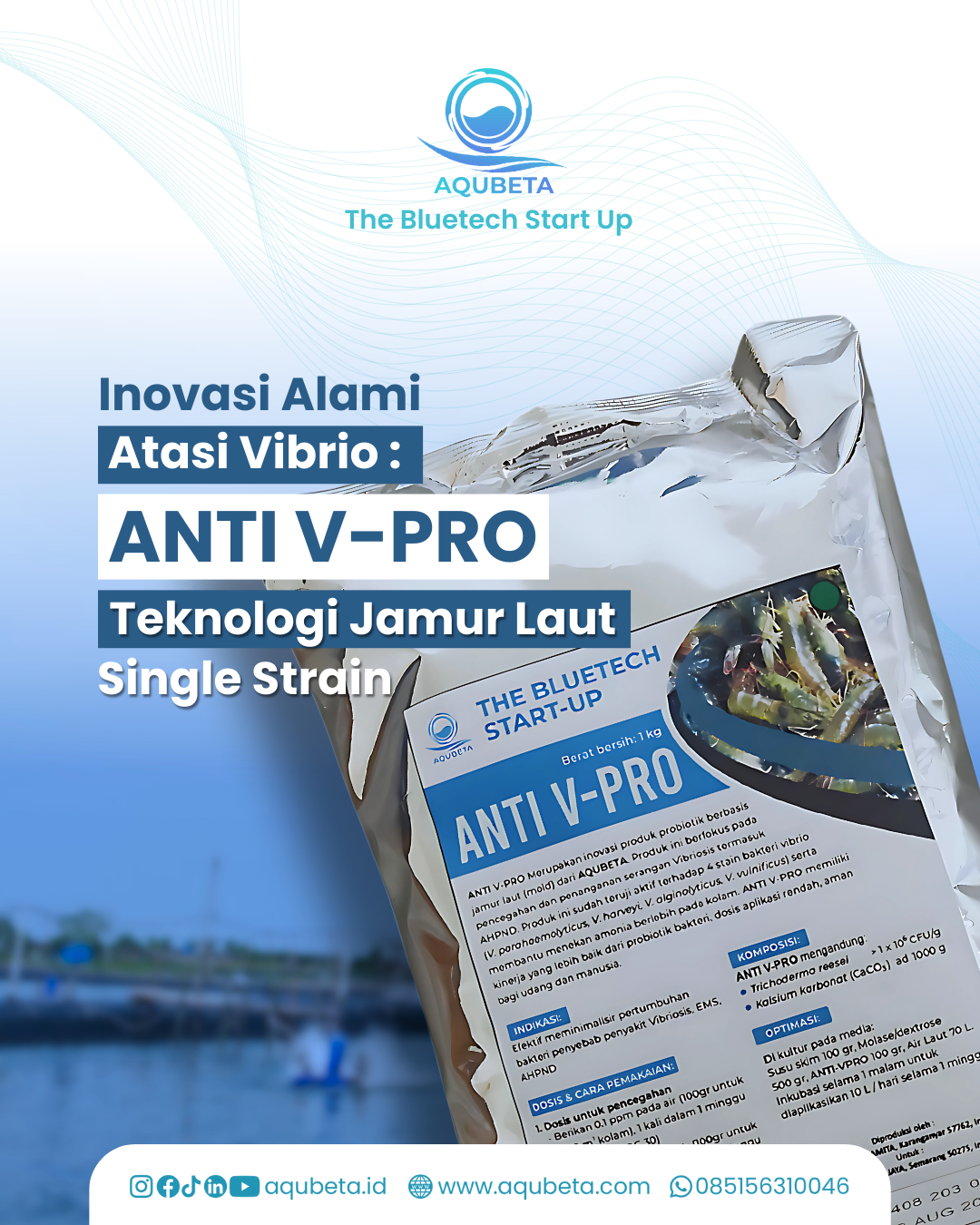Inovasi Alami Atasi Vibrio: ANTI V-PRO dengan Teknologi Jamur Laut Single Strain - Aqubeta